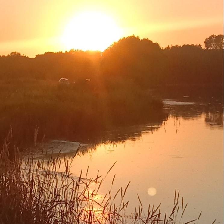 Иконка канала РЫБАЛКА В МАРИЙСКОМ КРАЕ! 12RUS