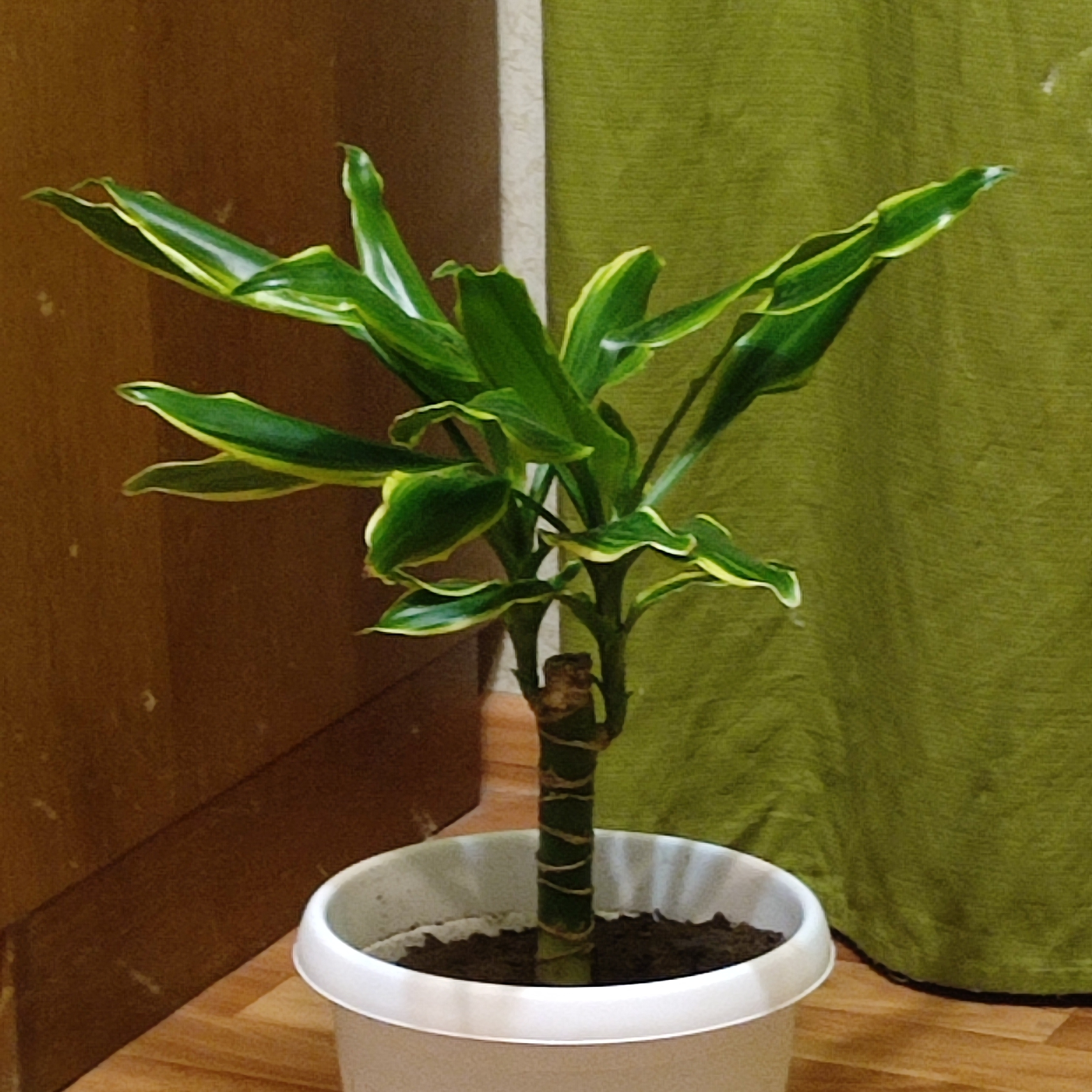 Иконка канала Есть контент! 🫱