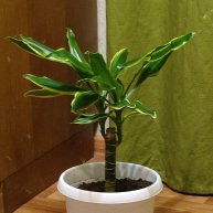 Иконка канала Есть контент! 🫱