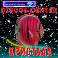 Иконка канала DISCUS CENTER КРИСТАЛЛ