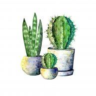 Иконка канала Мой уютный дом и сад