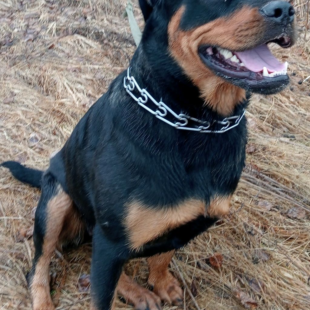 Иконка канала Урдома