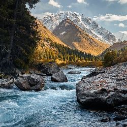 Иконка канала barnaul22