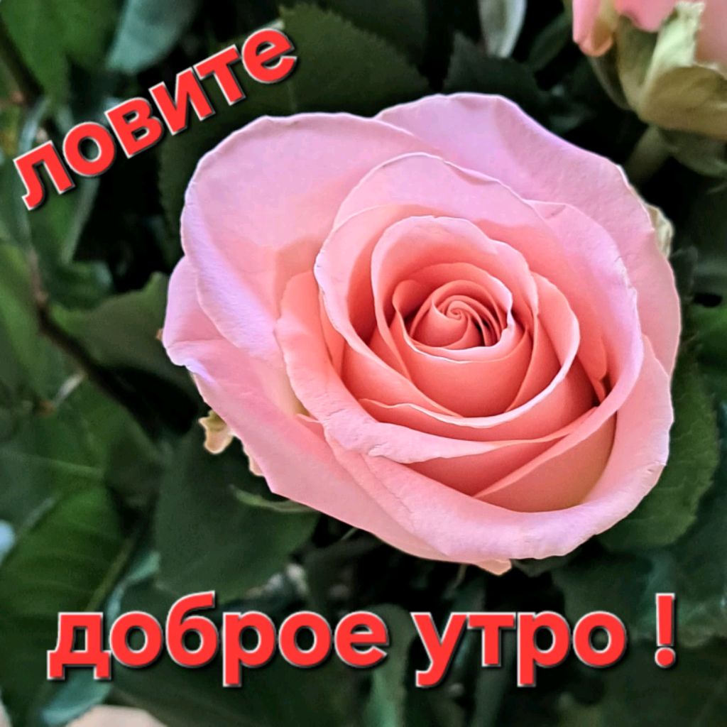 Иконка канала Лучший Эфир.