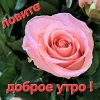 Иконка канала Лучший Эфир.