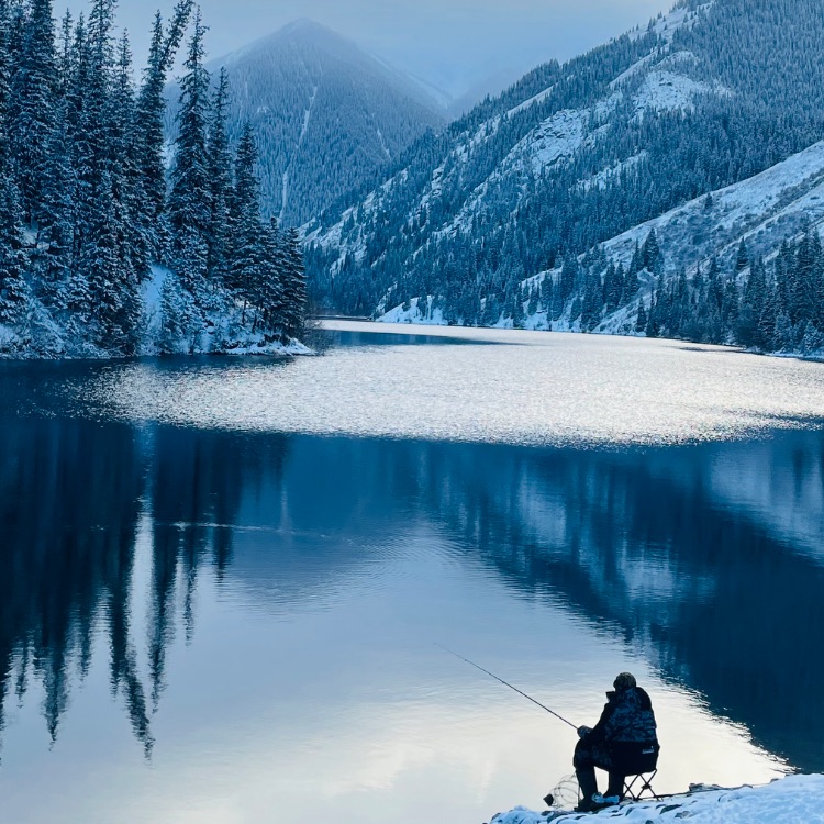 Иконка канала KokidzeTV