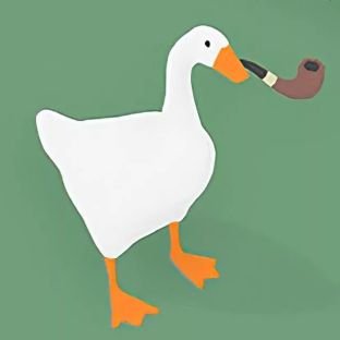 Иконка канала Momo_goose