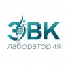 Иконка канала ЭВКлаб