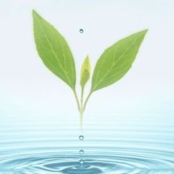 Иконка канала Воскресный завтрак