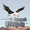 Иконка канала Андрей Птицын
