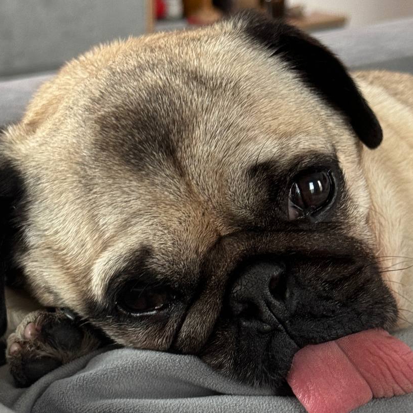 Иконка канала путешествия Лёни