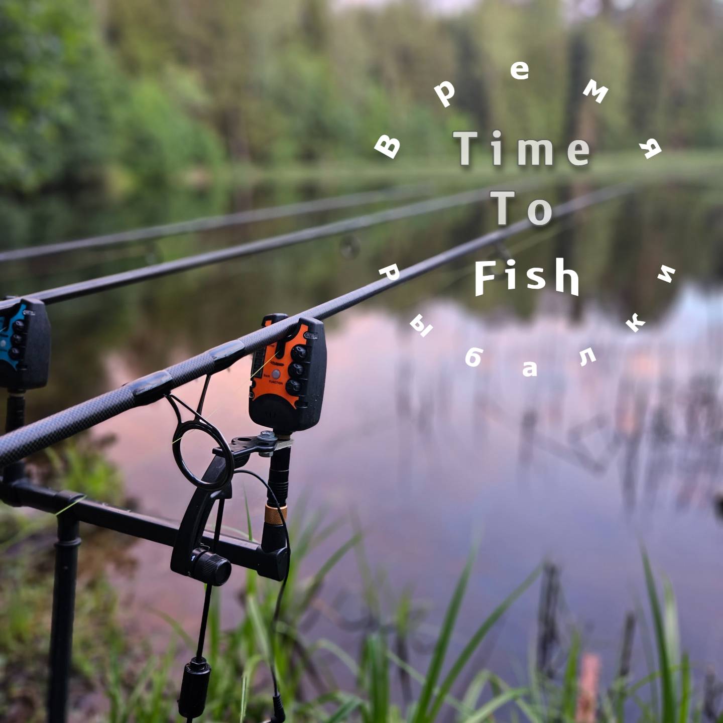 Иконка канала TimeToFish