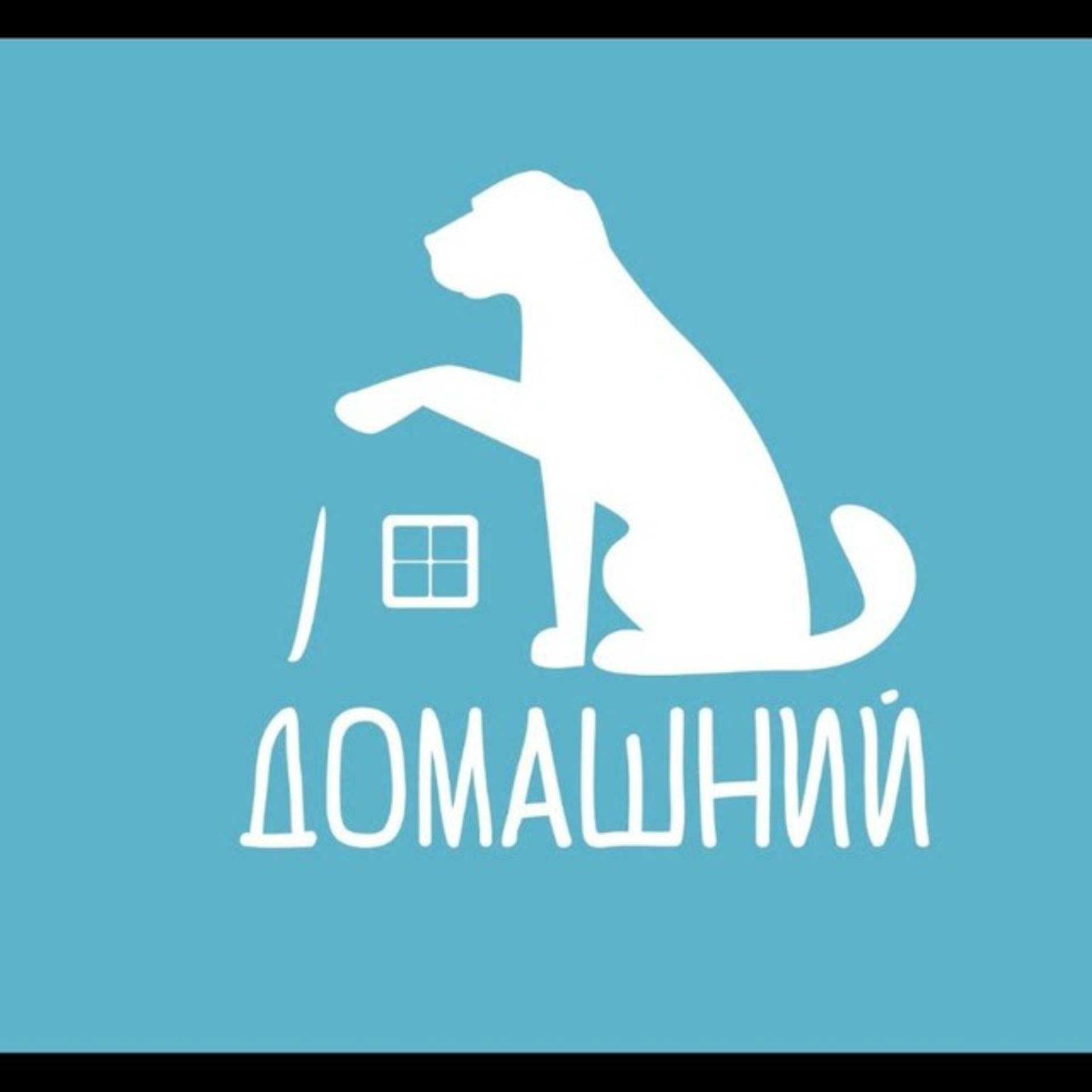 Иконка канала Приют Домашний "Выбери меня!"