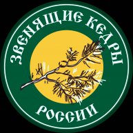 Иконка канала Звенящие кедры России. Владимир Мегре