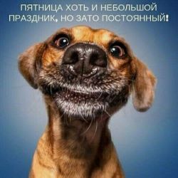 Иконка канала Tokarevtun.ru