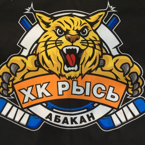 Иконка канала хоккейный клуб «Рысь»