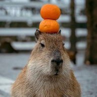 Иконка канала AbramkinAB