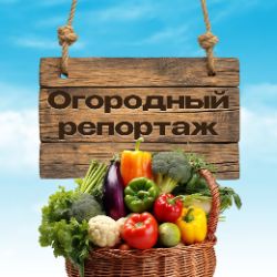 Иконка канала Огородный Репортаж