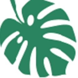 Иконка канала fitodizainShapel33