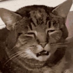 Иконка канала Я не знаю откуда у меня тут аккаунт