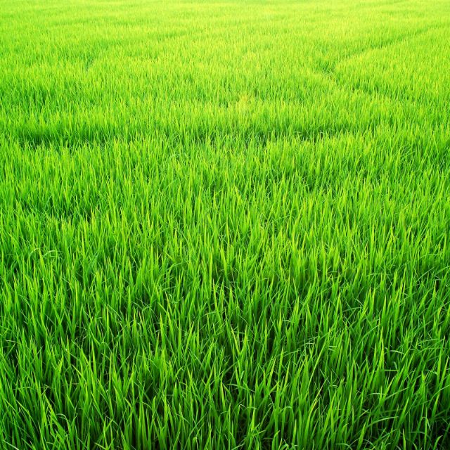 Иконка канала ISLAMIC VIDEO