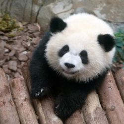 Иконка канала TY Metal-Drin