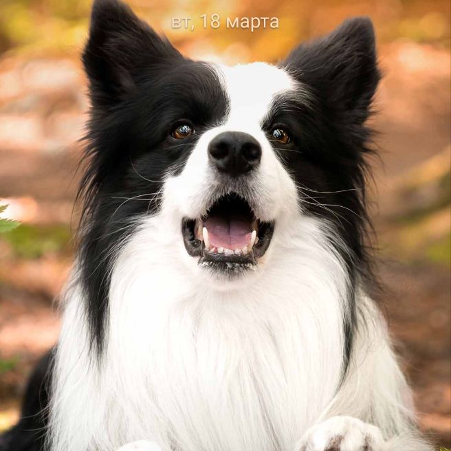 Иконка канала Моменты Из Жизни И Смешные Моменты