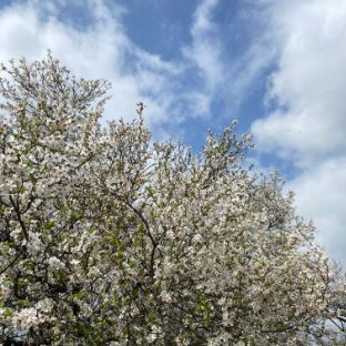 Иконка канала Your English Bestie | Английский с нуля