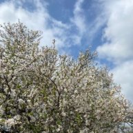 Иконка канала Your English Bestie | Английский с нуля