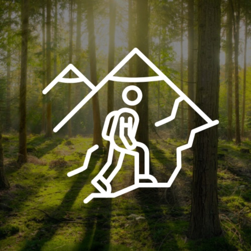 Иконка канала Ветер Странствий