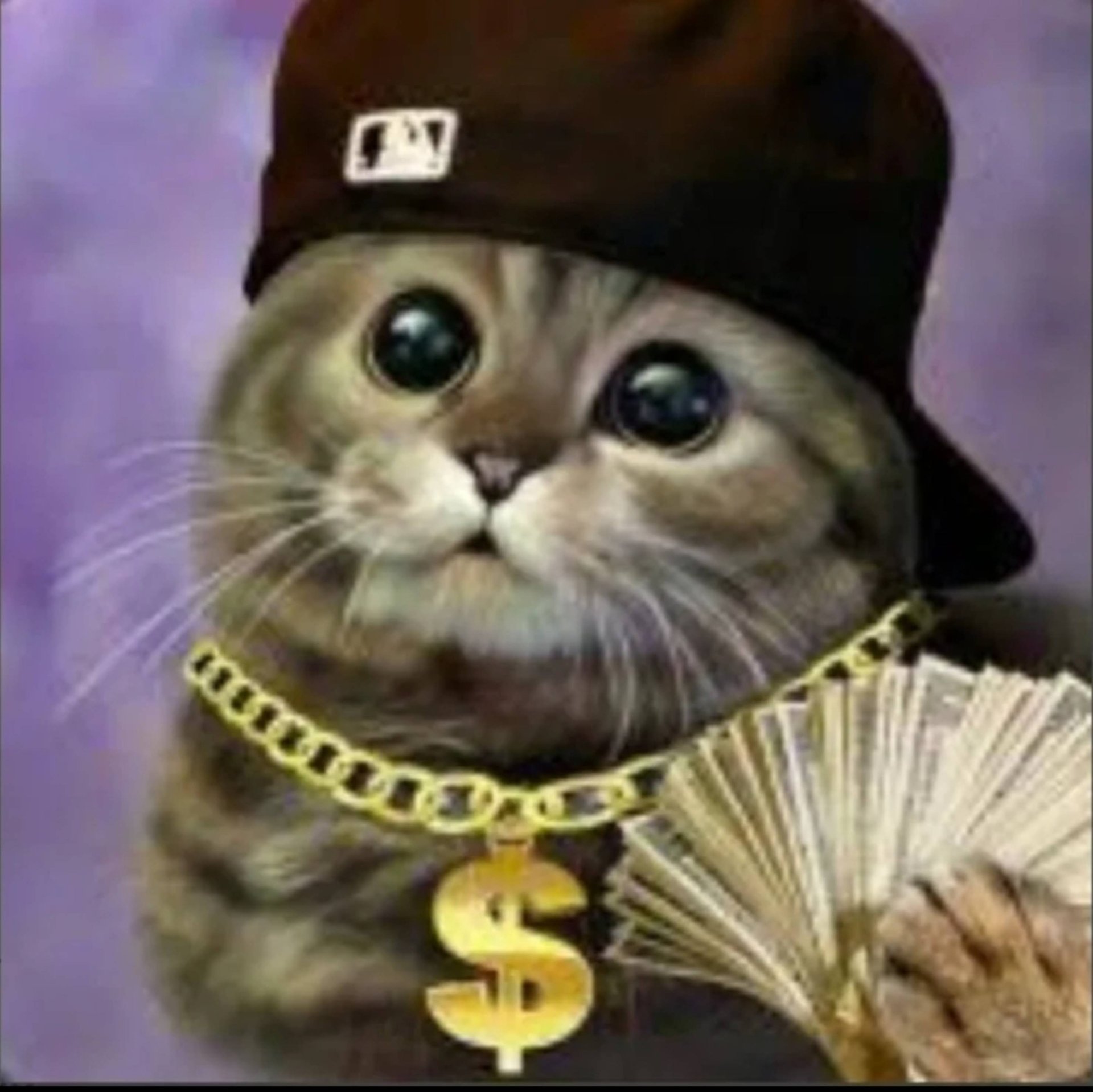 Иконка канала Котик