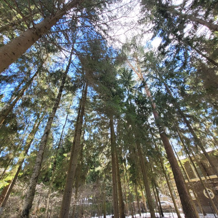 Иконка канала NedvizMSK