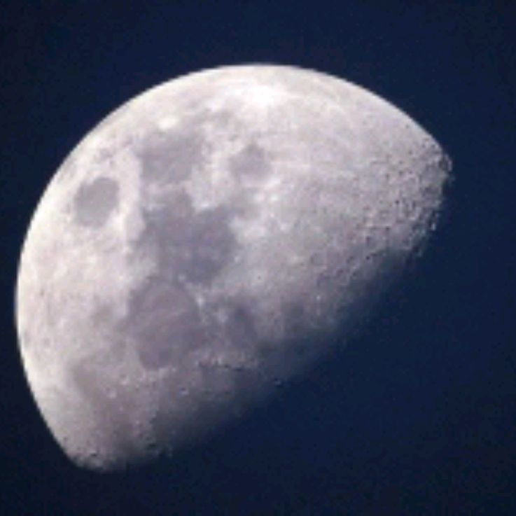 Иконка канала Chicken_king