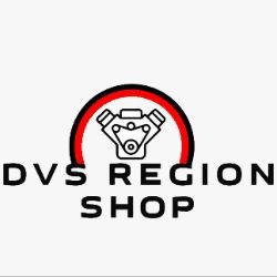Иконка канала DVS-Region