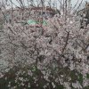 Иконка канала Алекс Странник