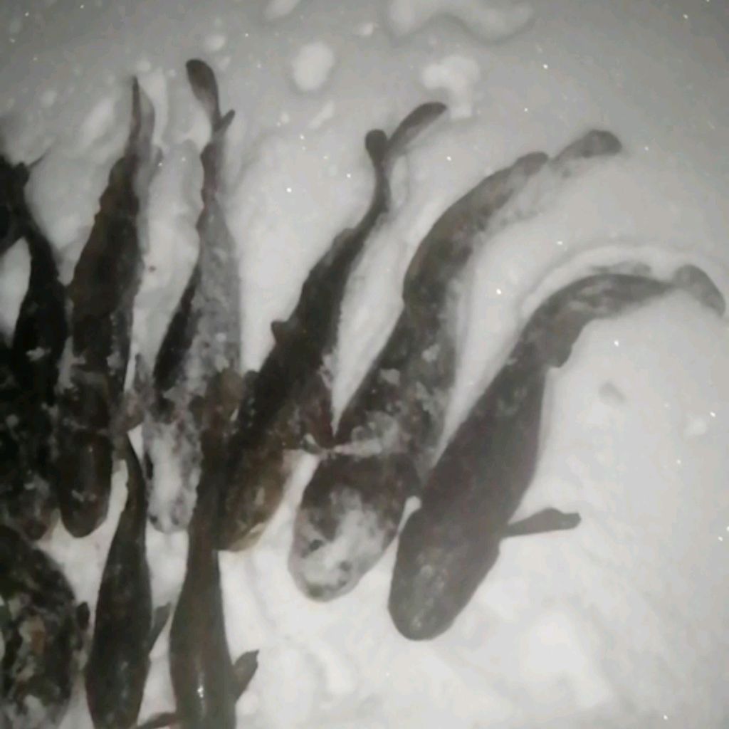 Иконка канала ПРИРОДА ЖИЗНИ!