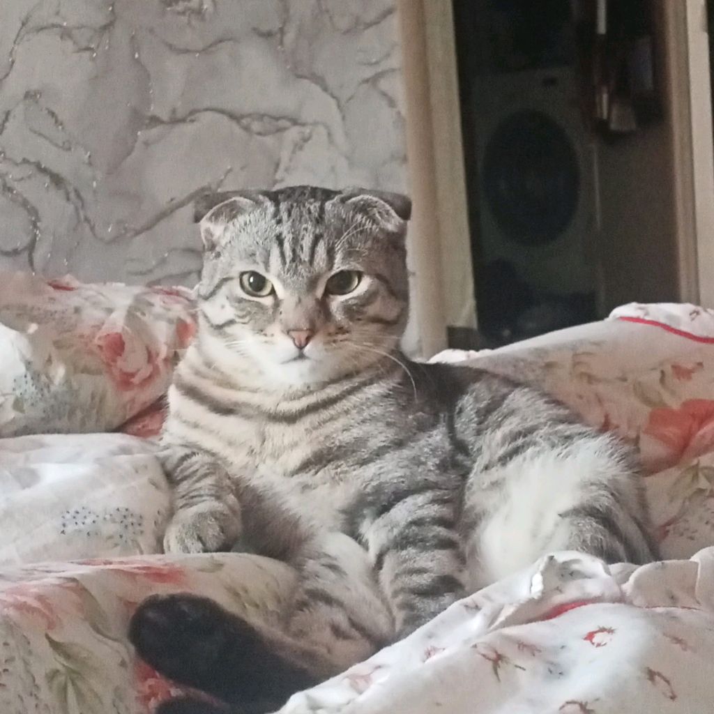 Иконка канала значок, что ты дурачок