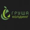 Иконка канала Груша-Холдинг