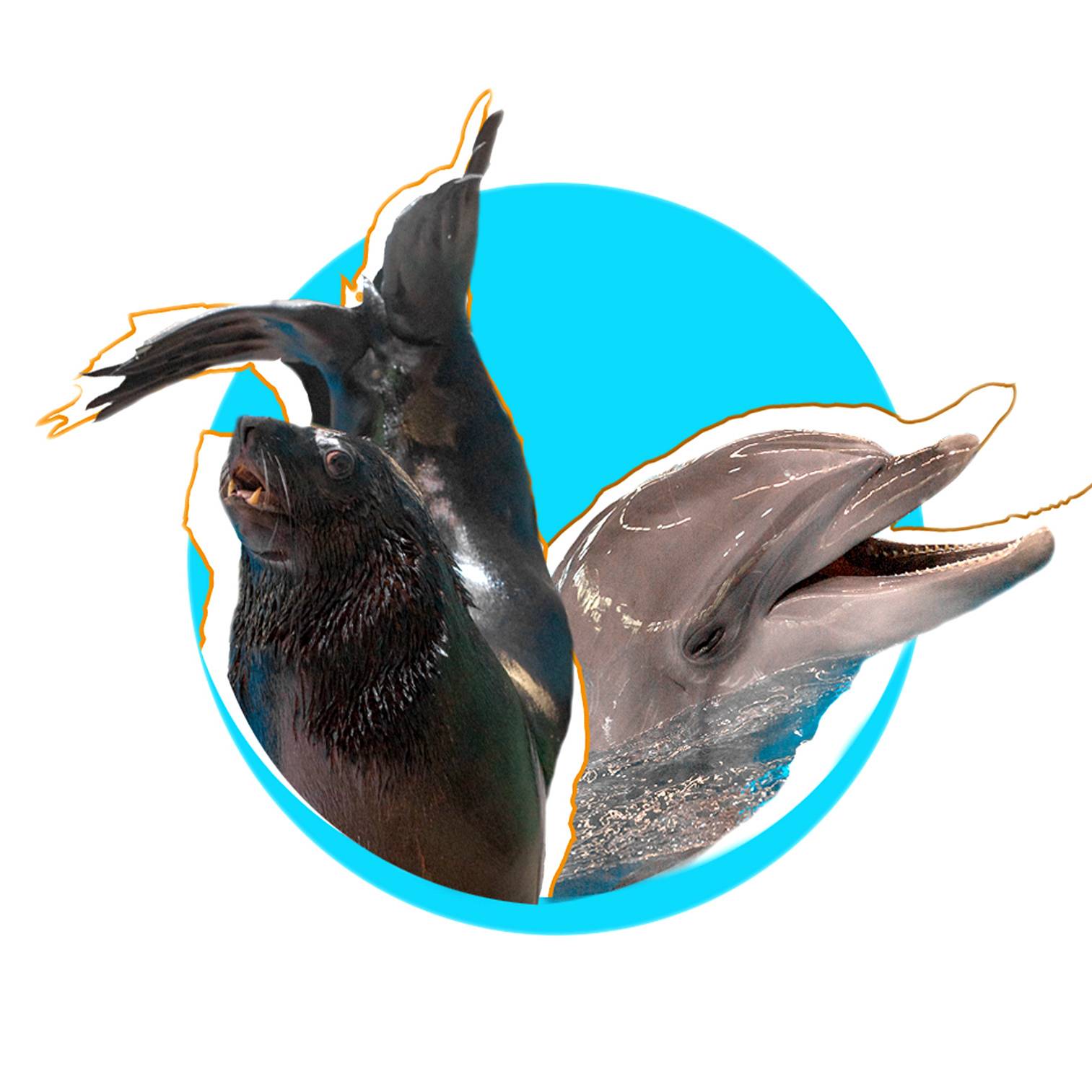 Иконка канала Хвостики-Ластики