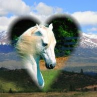 Иконка канала channel59591155