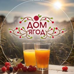 Иконка канала ПК "Дом Ягод"