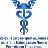 Иконка канала Торгово-промышленная палата Наб. Челны