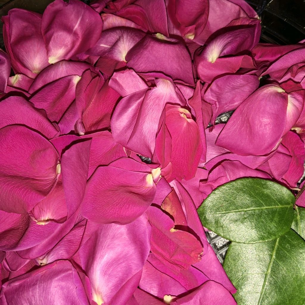 Иконка канала Вдохновение🌷