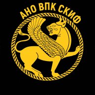 Иконка канала АНО ВПК СКИФ