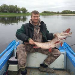 Иконка канала -ХИТРЫЙ ОСЁТР-