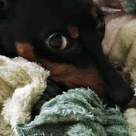 Иконка канала CDC Ded Game