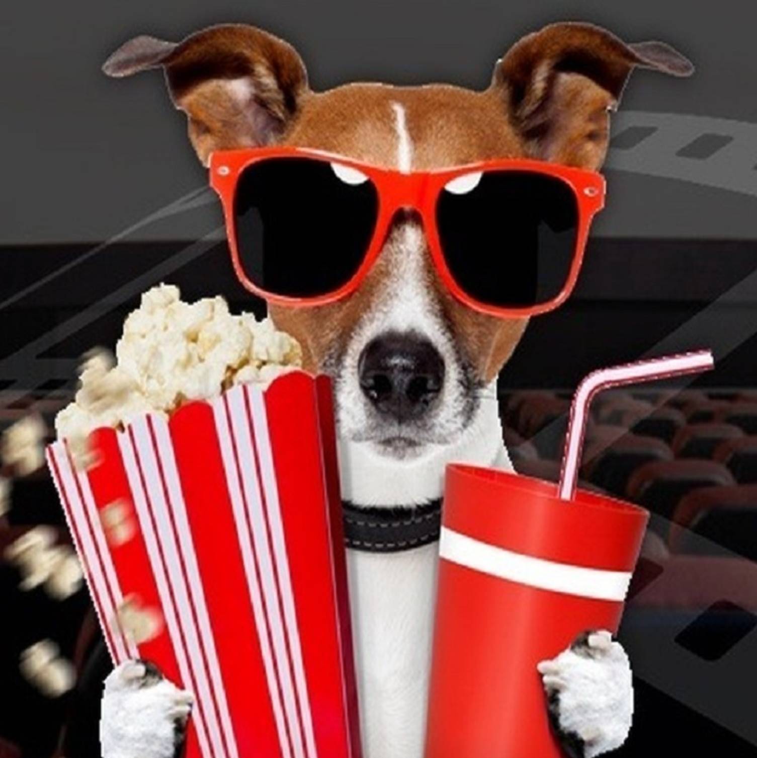 Иконка канала Трейлер №1