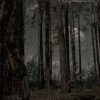 Иконка канала AFR