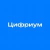 Иконка канала Цифриум