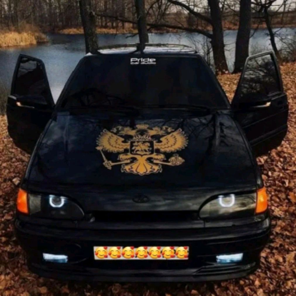 Иконка канала Саня хосонатор